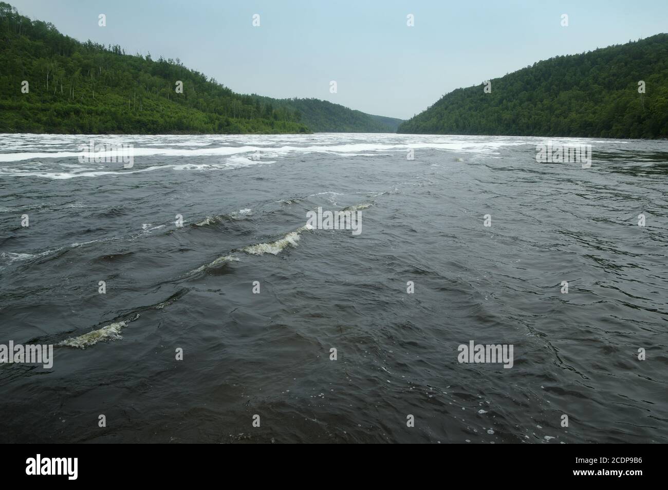 Bureya hi-res stock photography and images - Alamy