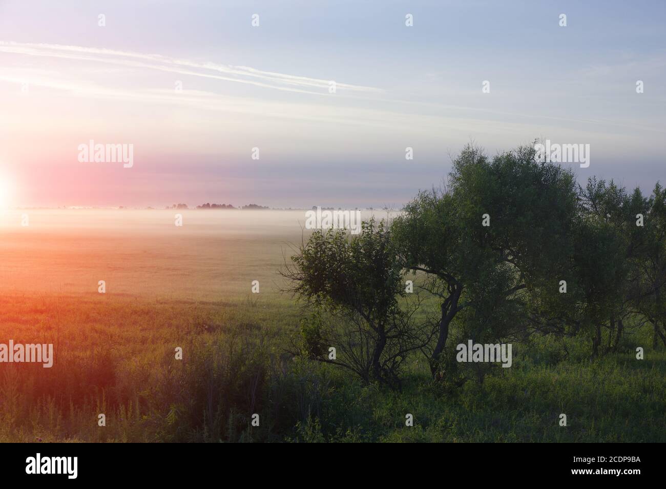 Dramatic storm tree hi-res stock photography and images - Alamy