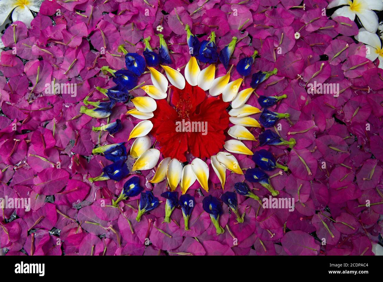 Indonesia, Bali, Flowers for offering Stock Photo - Alamy