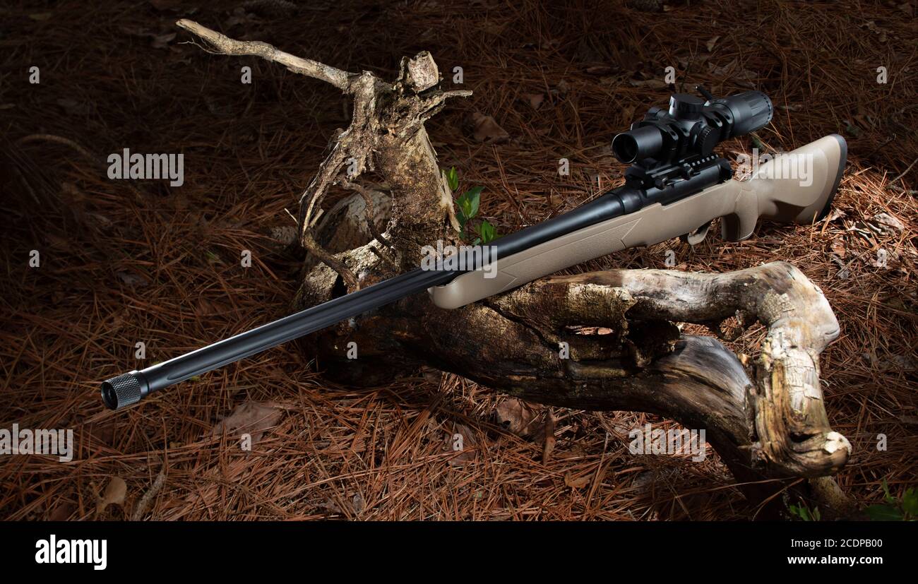 High powered rifle on an old log for a rest with pine needles Stock ...