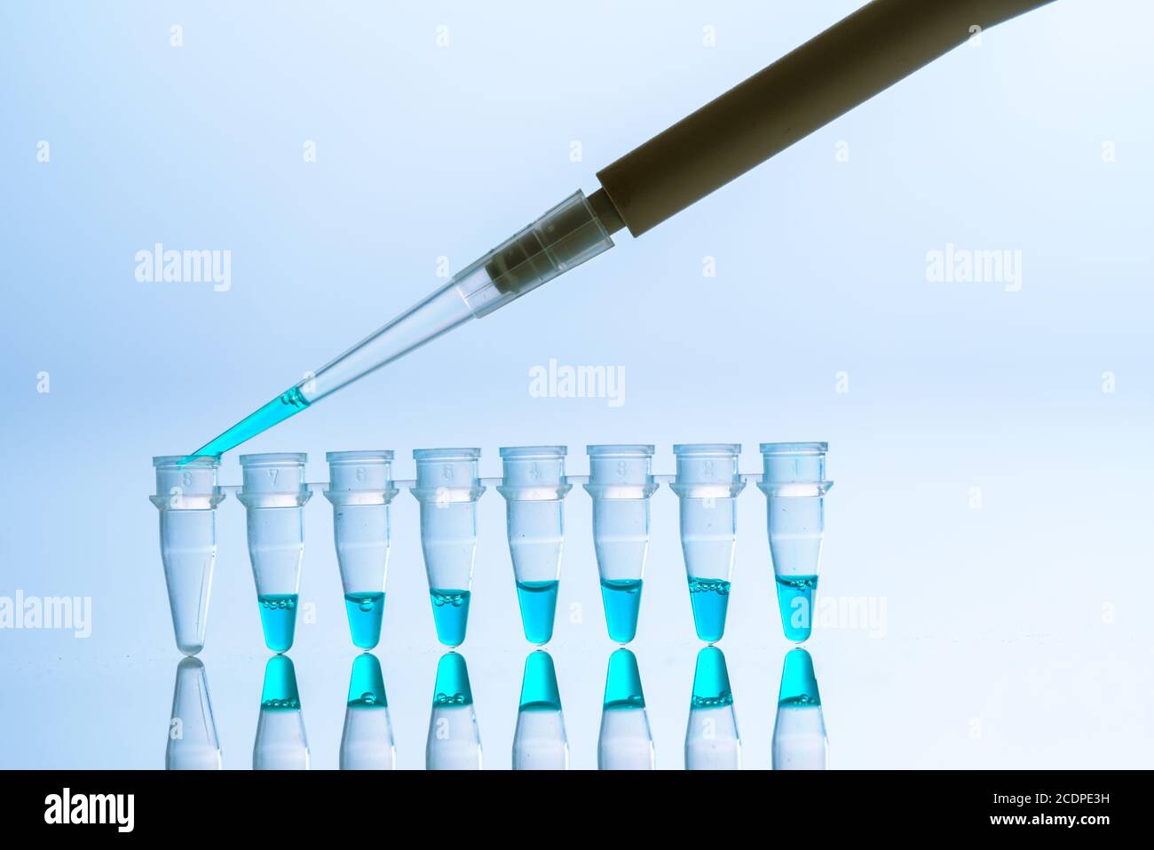 PCR Tube Strips Well and Pipette in genetic research laboratory close ...