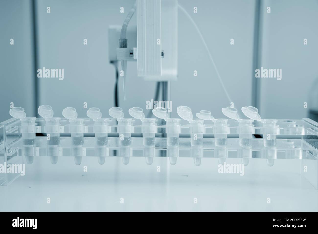 Genetic research Personalized Nutrition. The Latest on DNA Based Diets ...