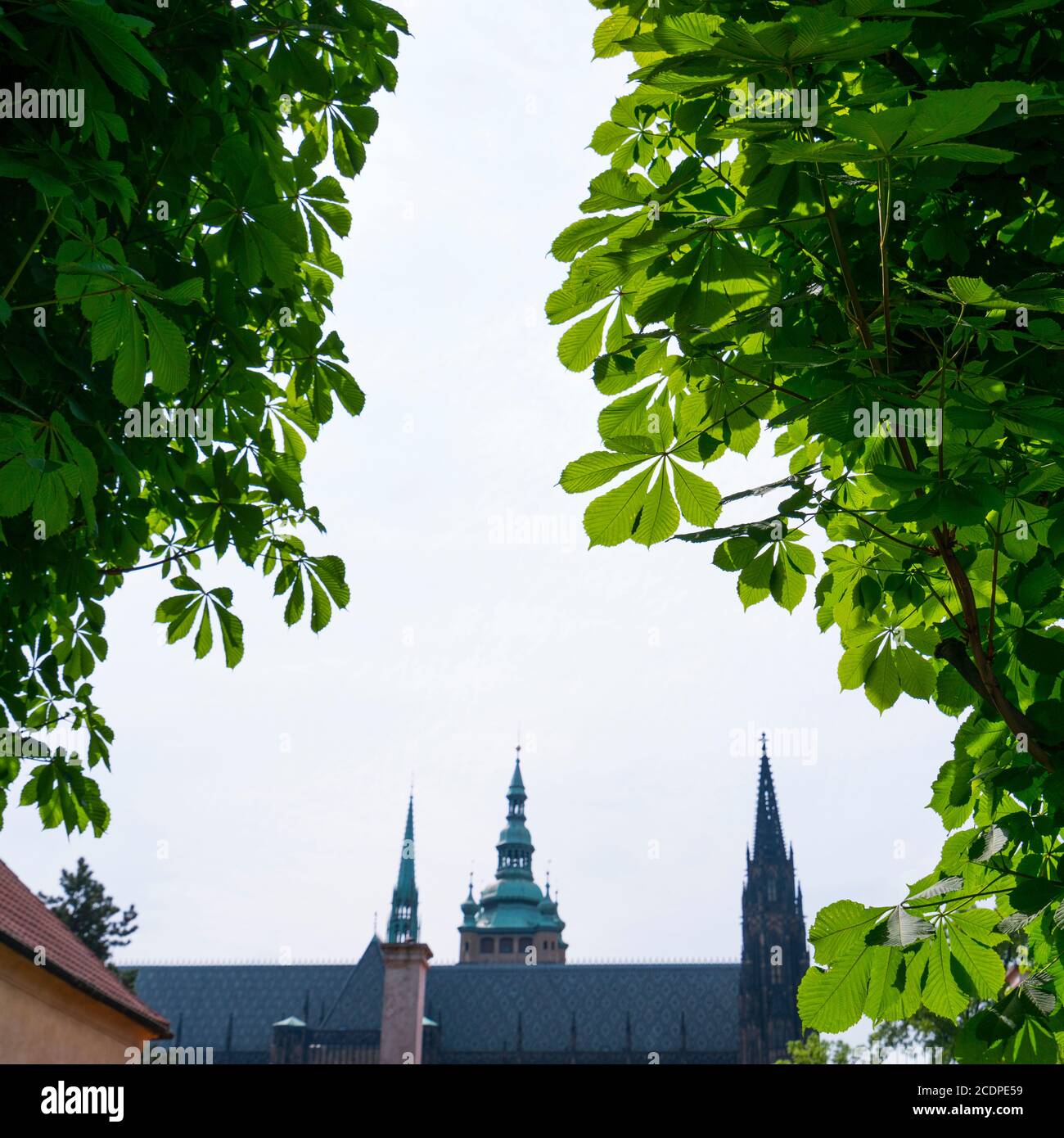 Prague Castle, Prazsky hrad, Prague, Czech Republic, Europe Stock Photo ...