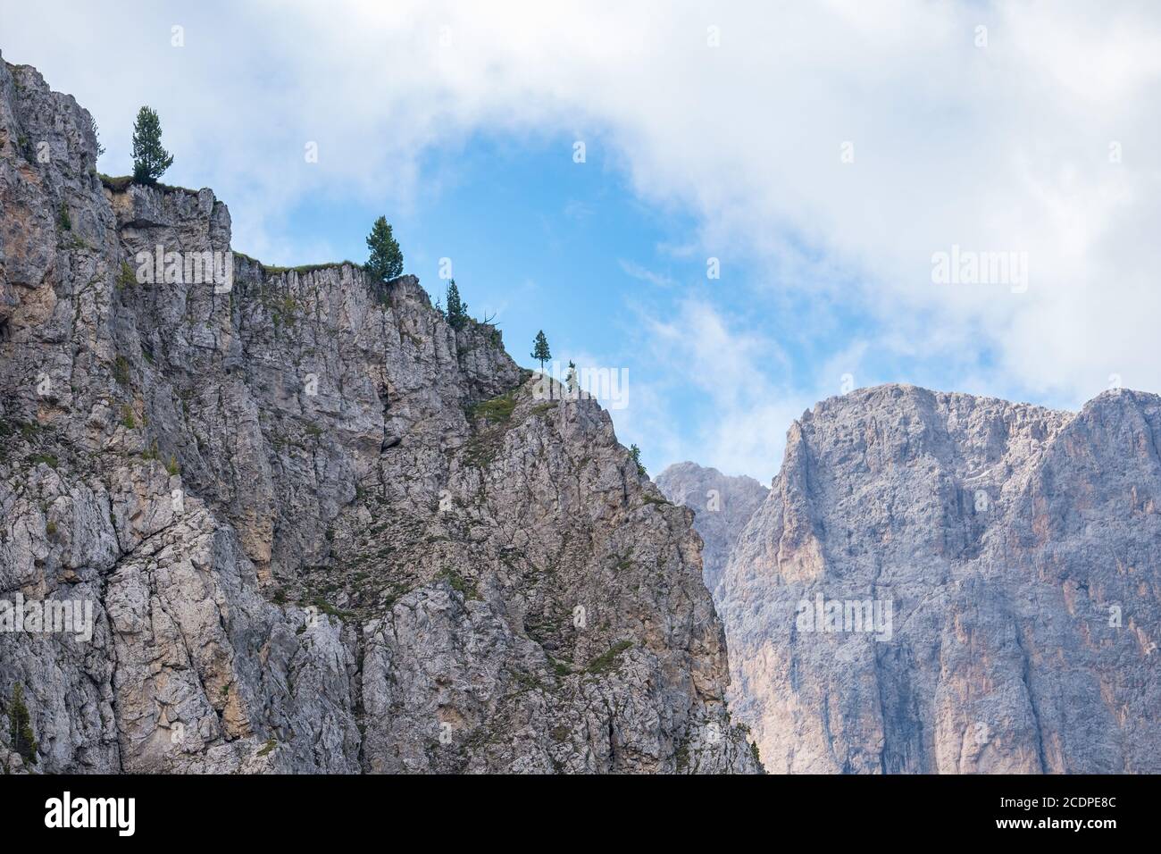 Trees on a mountain ridge Stock Photo - Alamy
