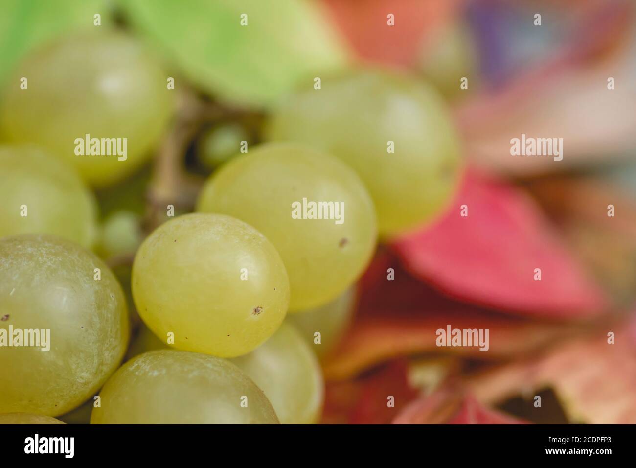 Fresh green grapes close up Stock Photo - Alamy