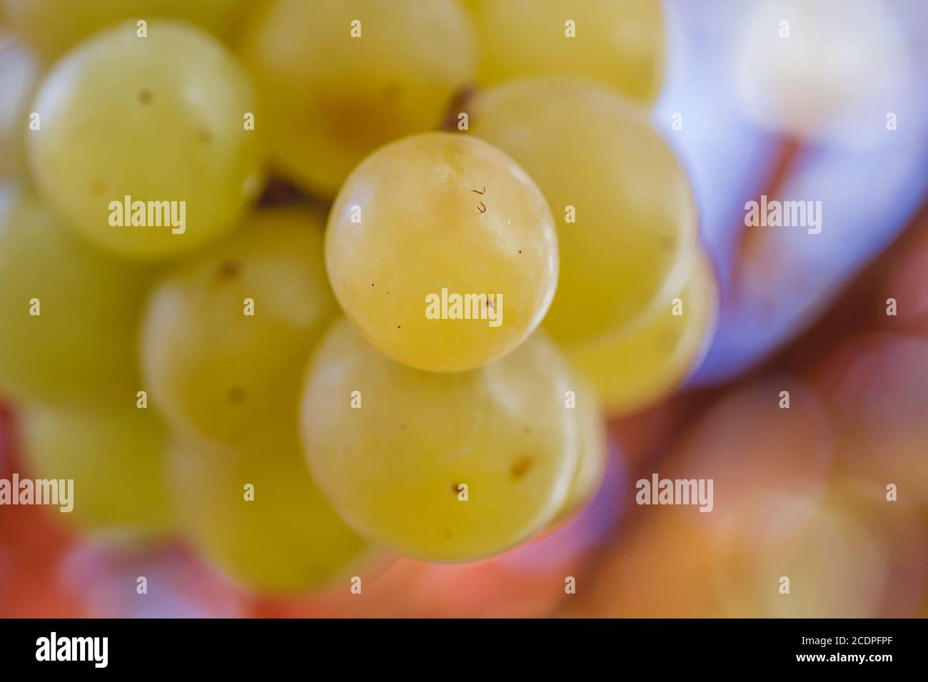Fresh green grapes close up Stock Photo - Alamy