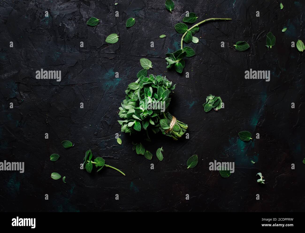 Fresh green oregano or Origanum vulgare in a beam, brown background ...