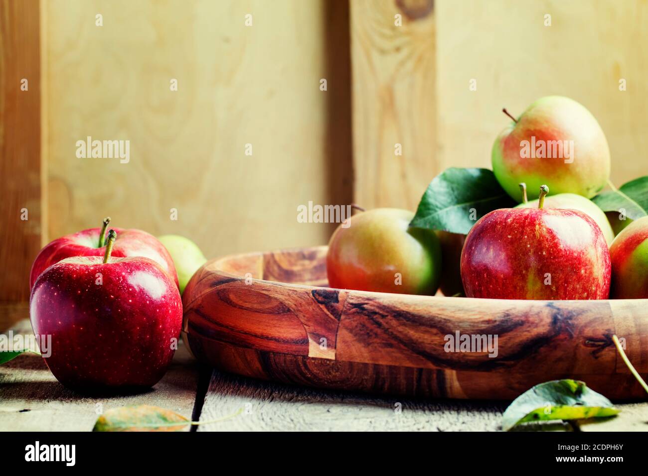 Fresh harvest of autumn sweet apples in a large bowl with hay on a ...