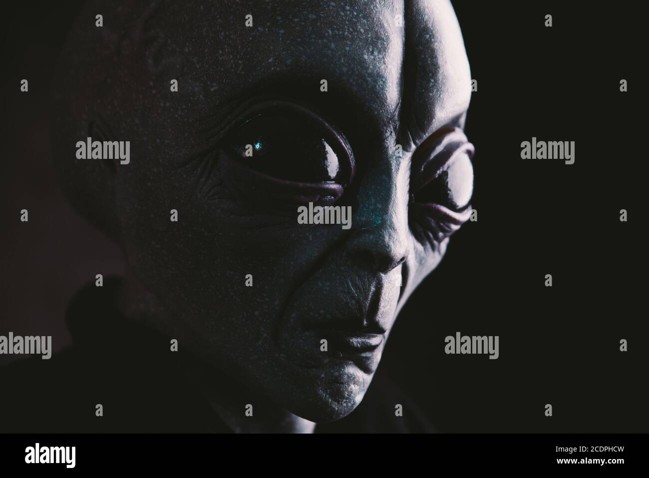 Alien creature has a message for humans. Grey kind humanoid from an ...