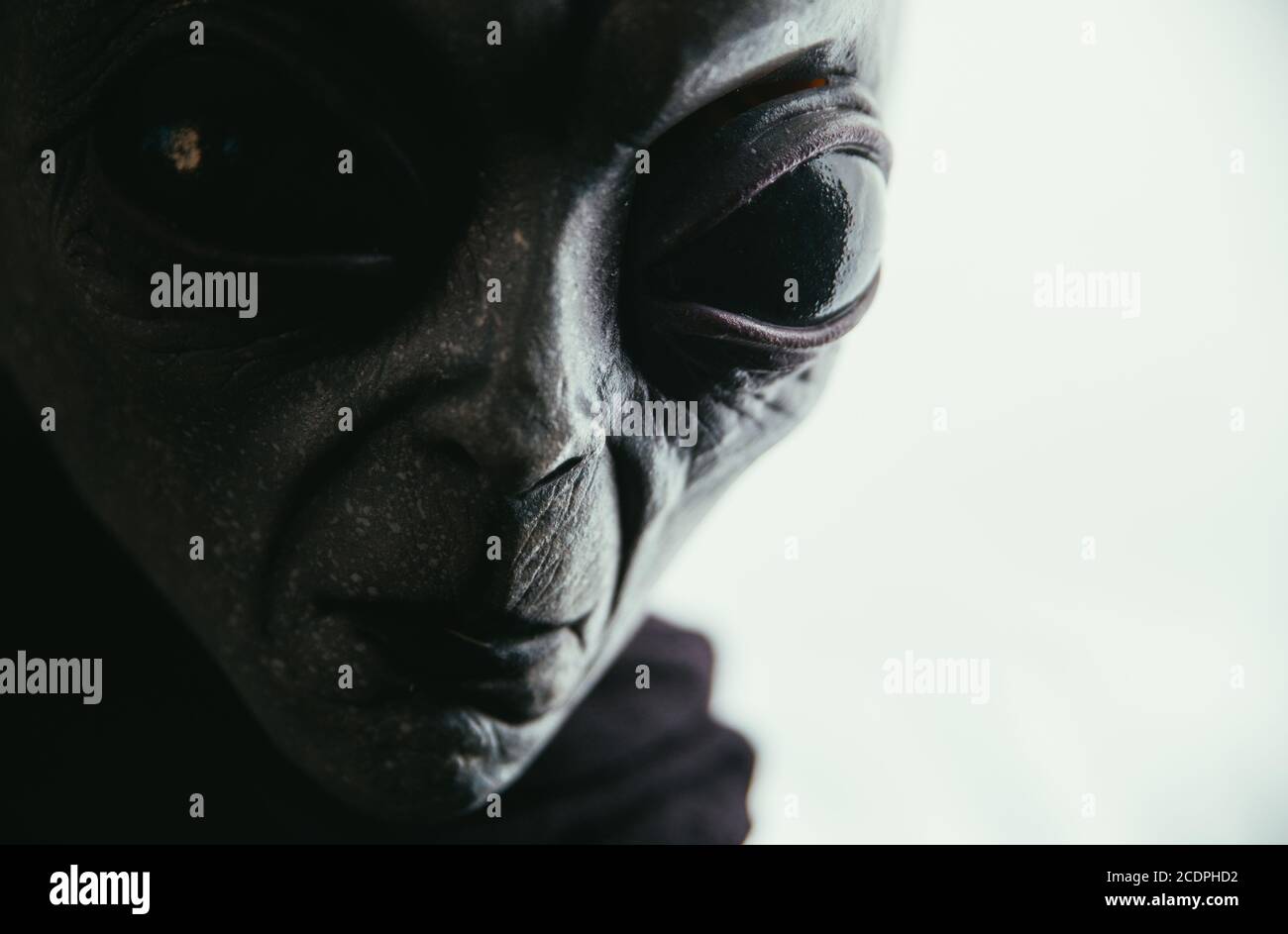 Alien creature has a message for humans. Grey kind humanoid from an ...