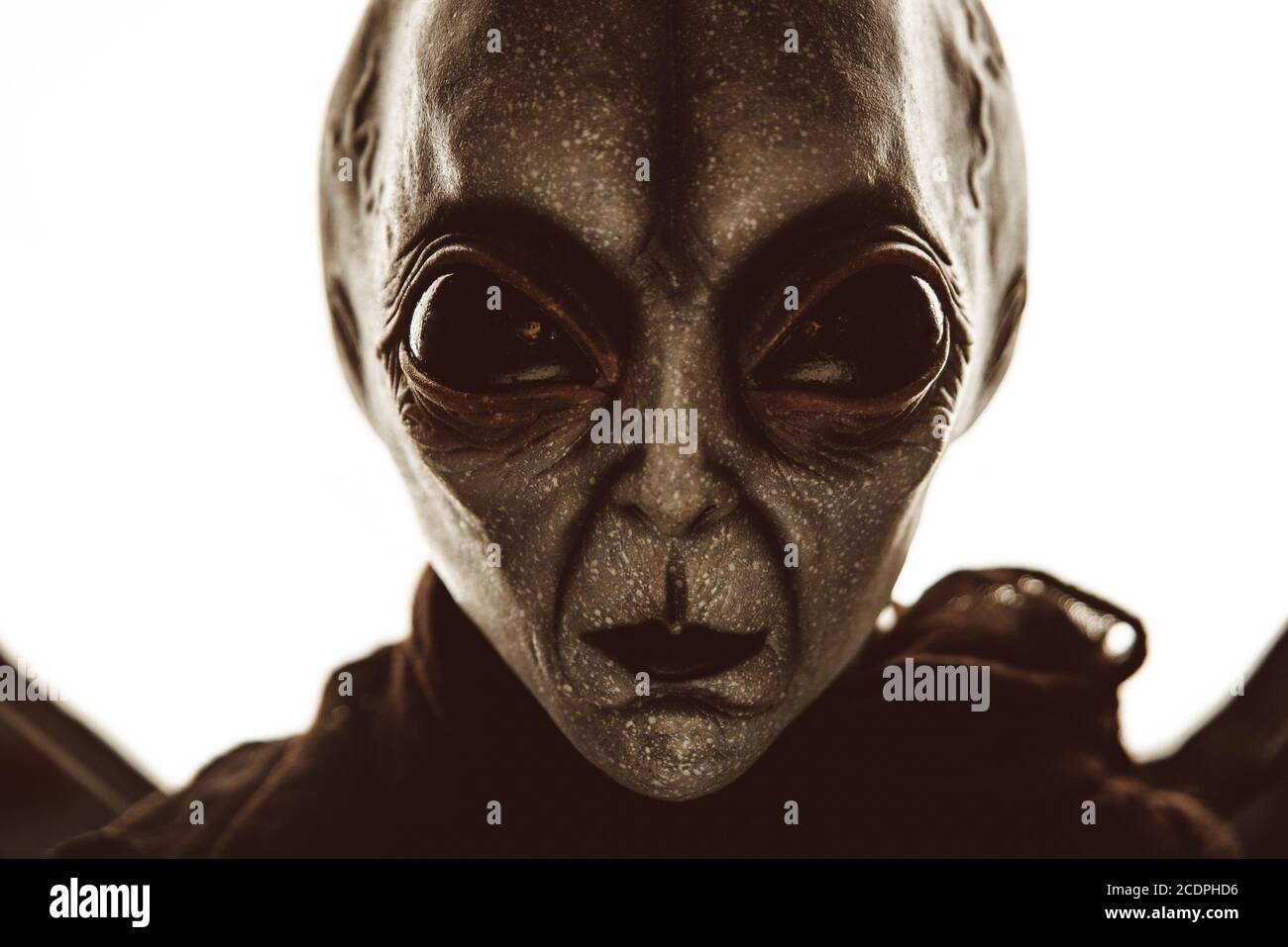 Alien creature has a message for humans. Grey kind humanoid from an ...