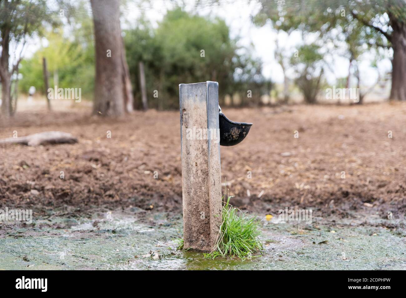 Trough for animals hi-res stock photography and images - Alamy