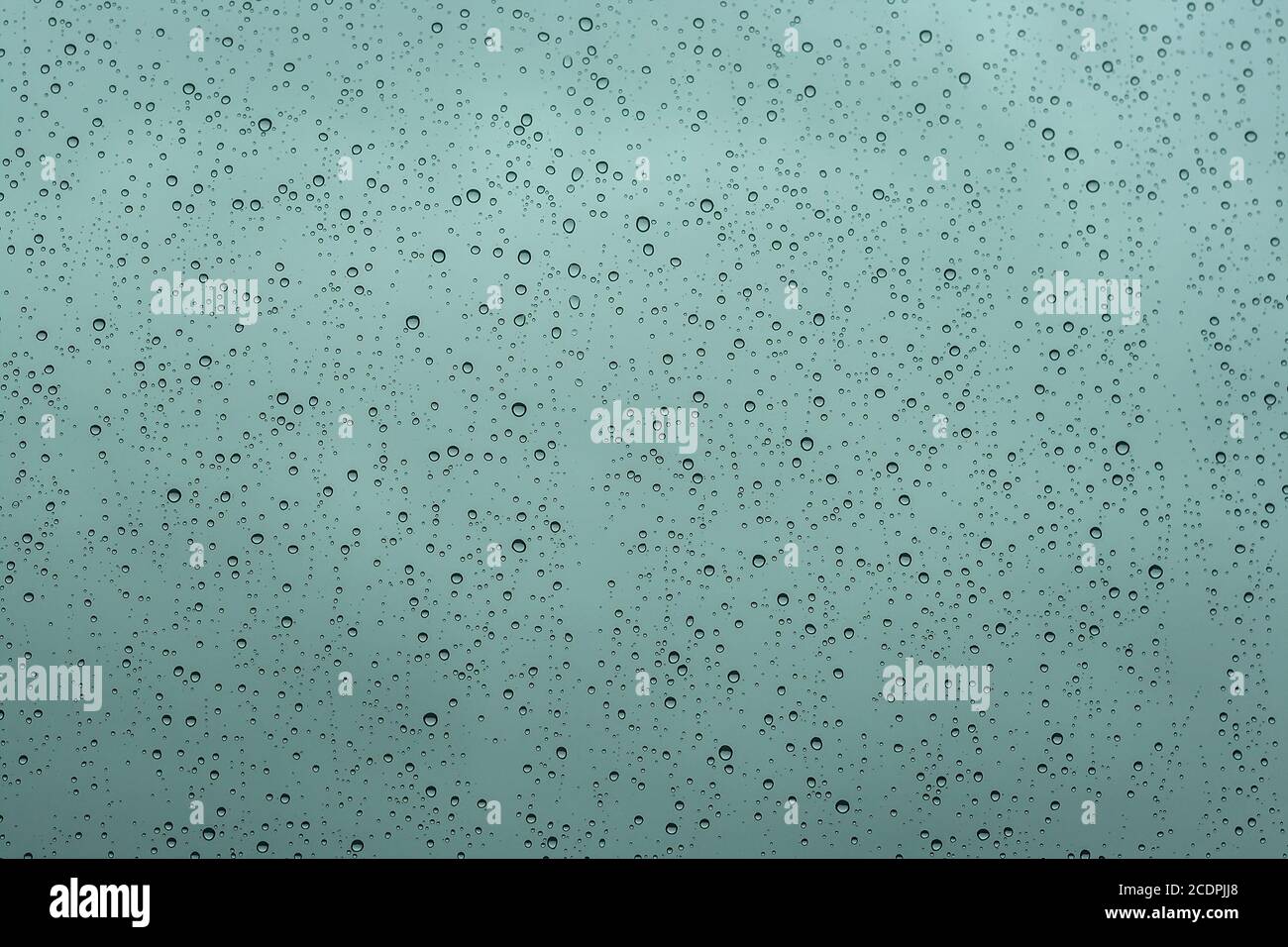 Rain droplets on a window Stock Photo - Alamy