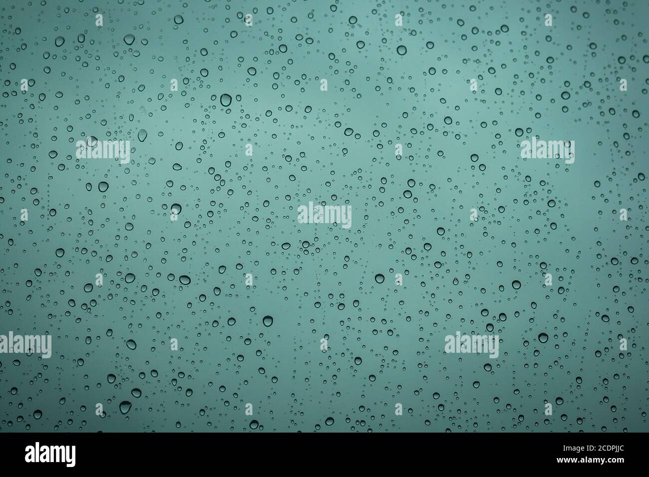 Rain droplets on a window Stock Photo - Alamy