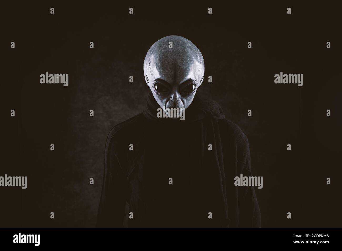 Alien creature has a message for humans. Grey kind humanoid from an ...