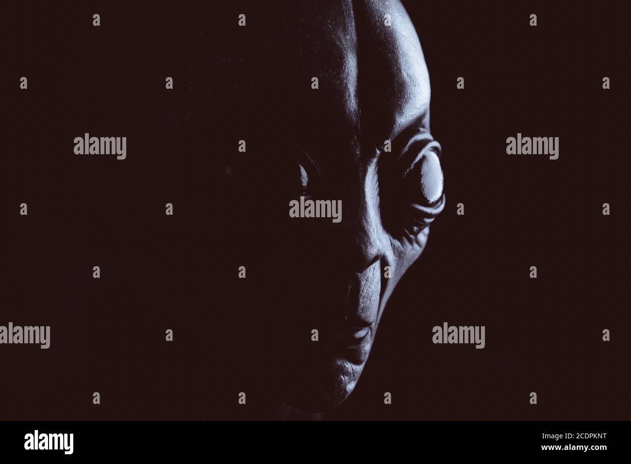 Alien creature has a message for humans. Grey kind humanoid from an ...