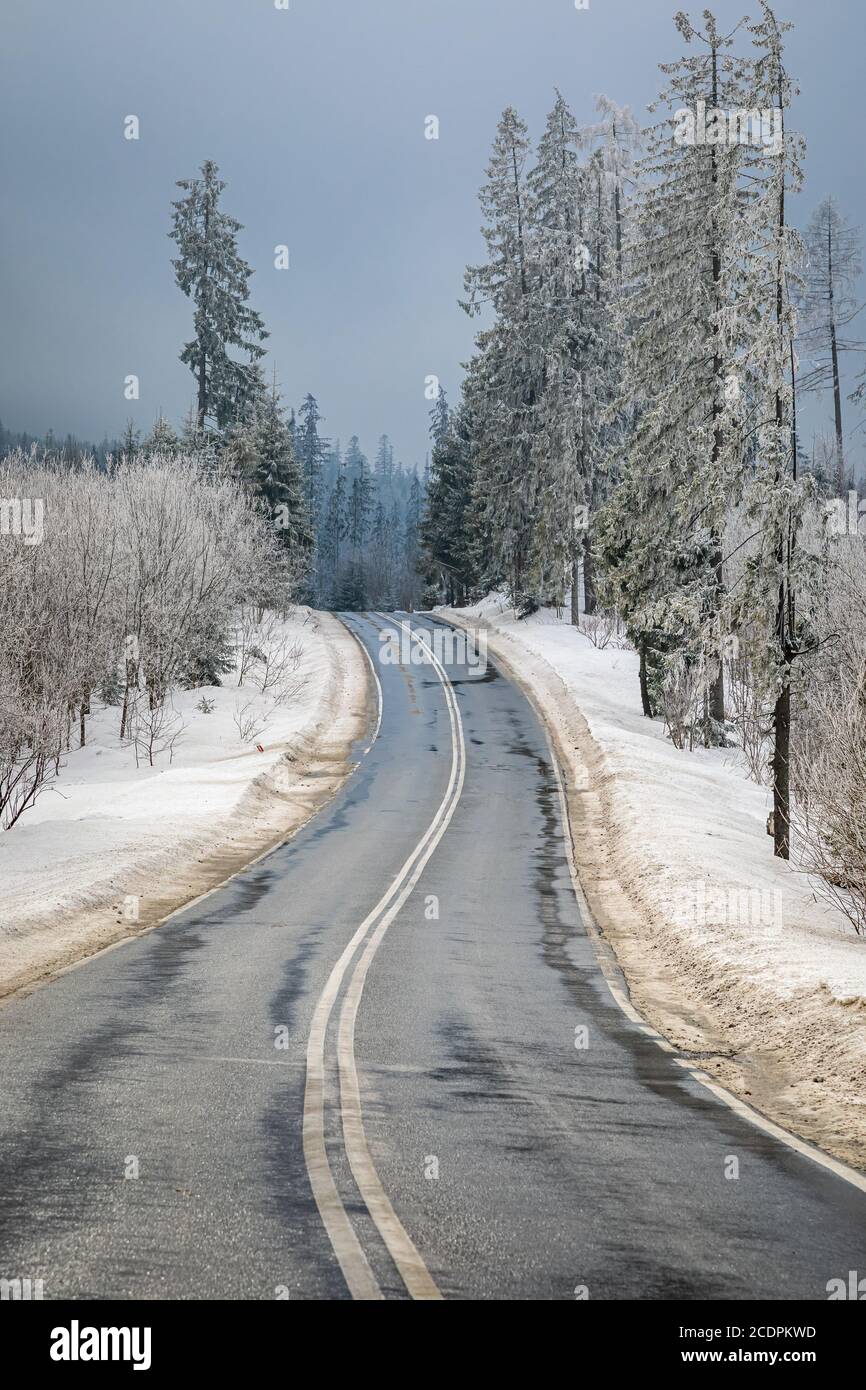 Stunning black road leading to Tatra Mountains in Poland, Europe Stock ...