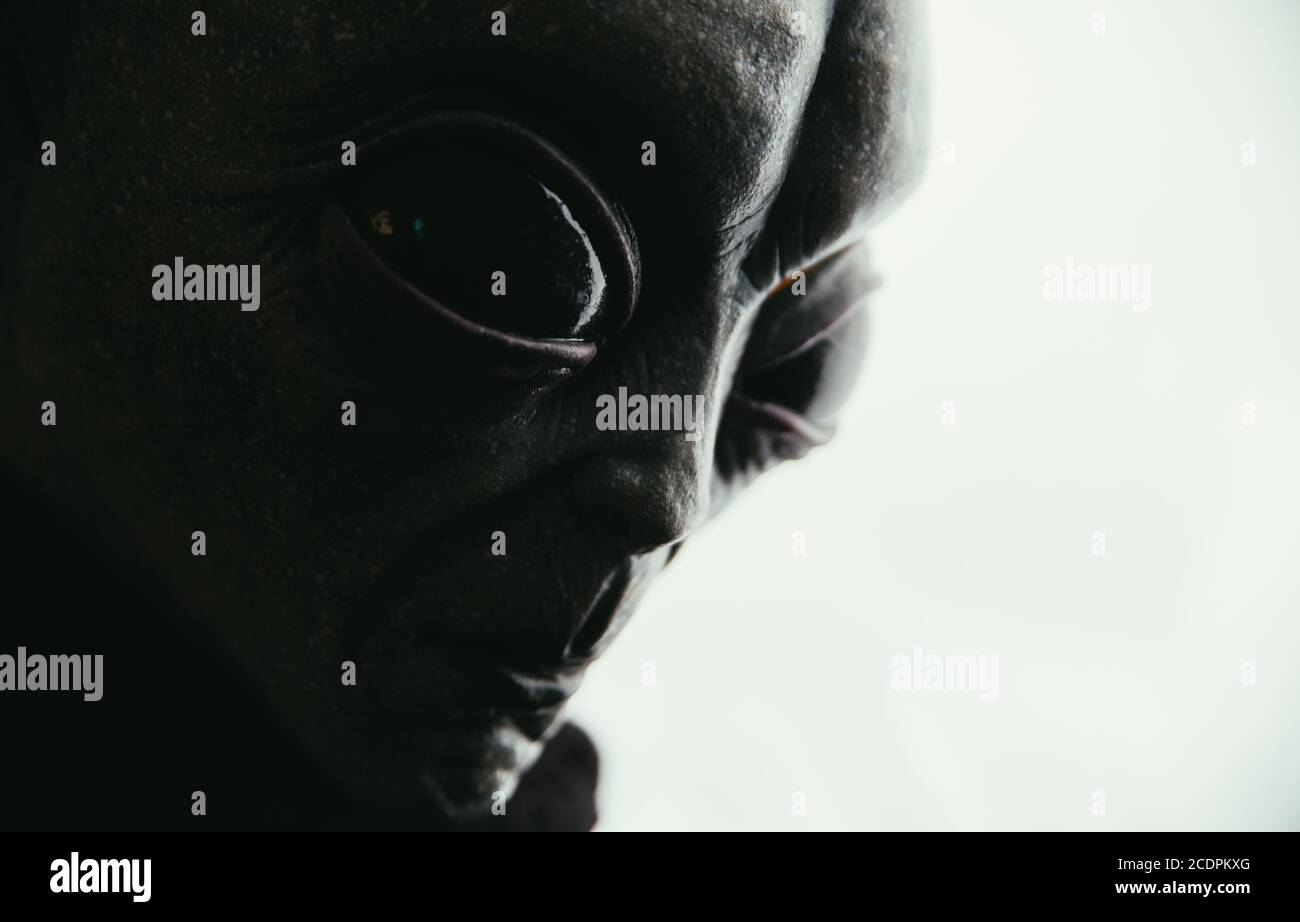 Alien creature has a message for humans. Grey kind humanoid from an ...