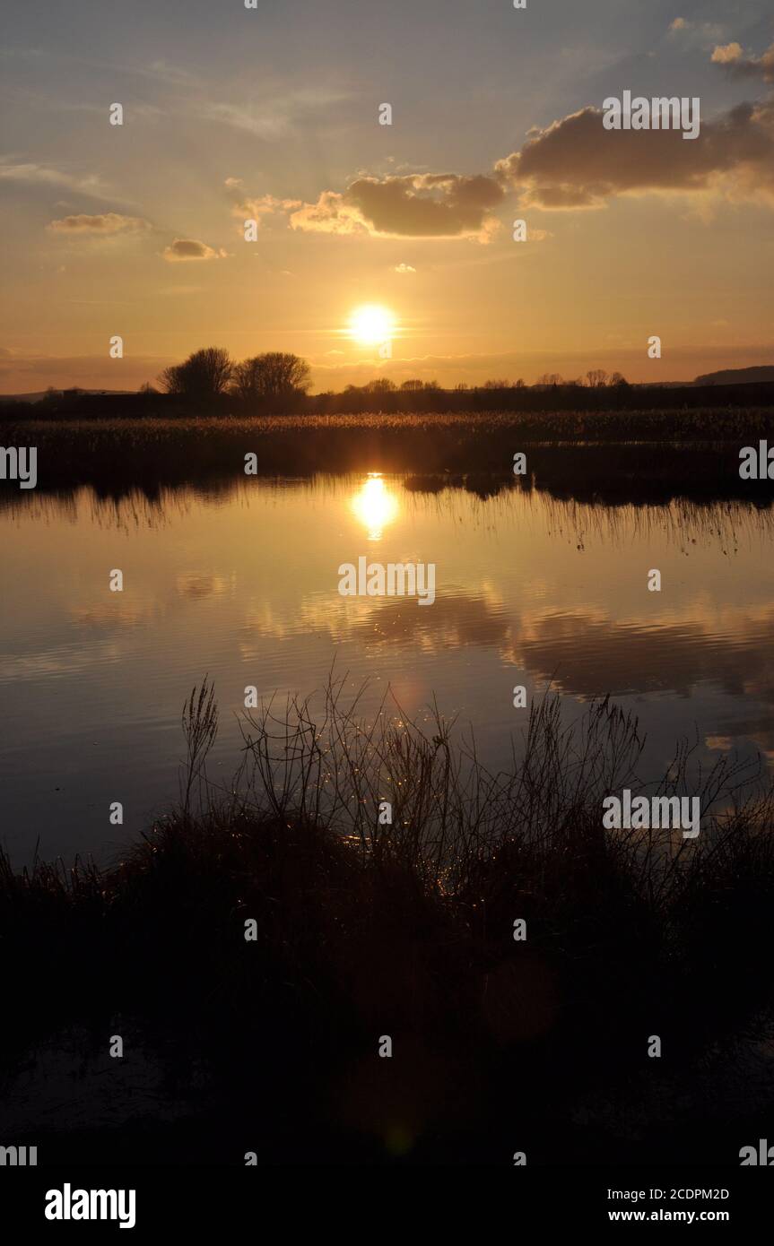 Reinheimer hi-res stock photography and images - Alamy