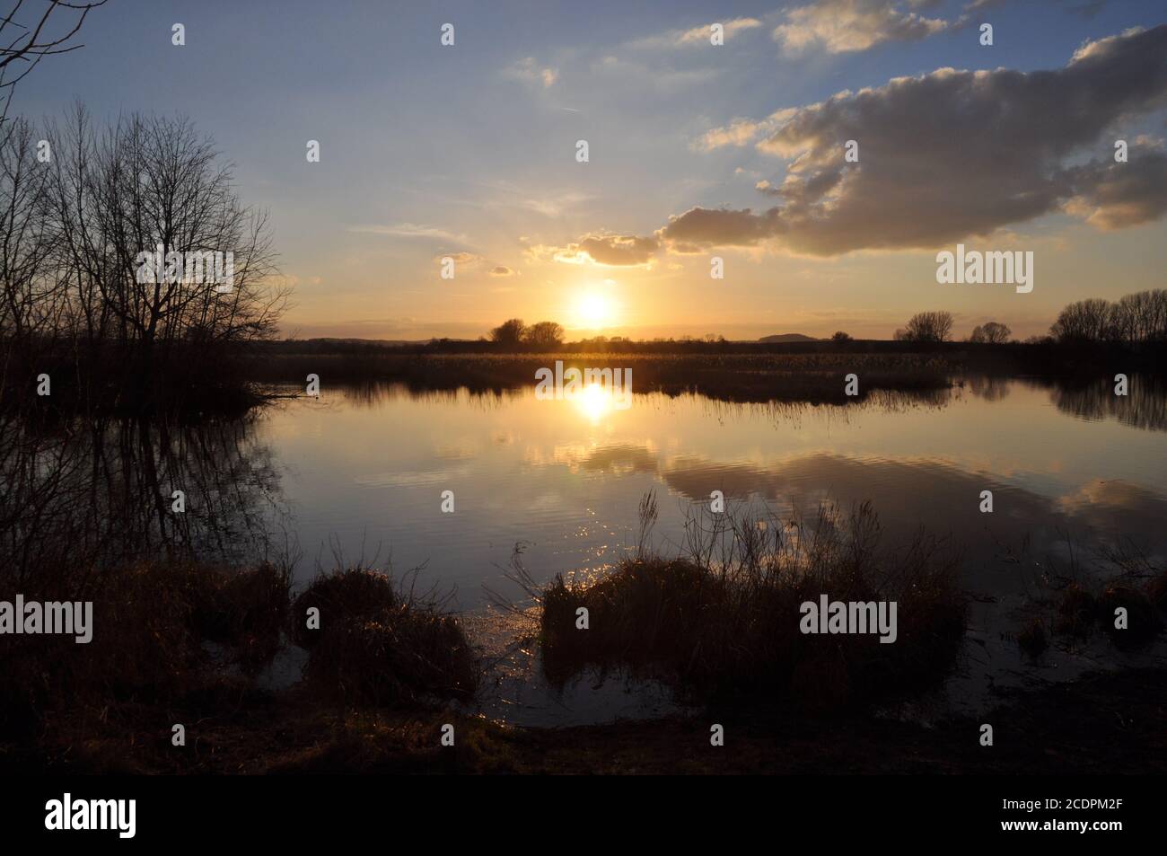 Reinheimer pond, evening Stock Photo - Alamy