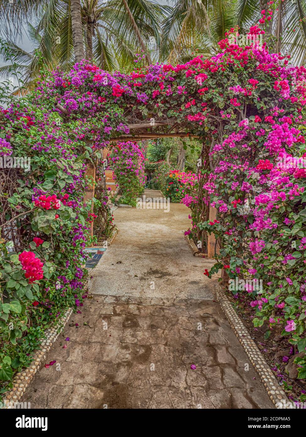 Garden senegal hi-res stock photography and images - Alamy
