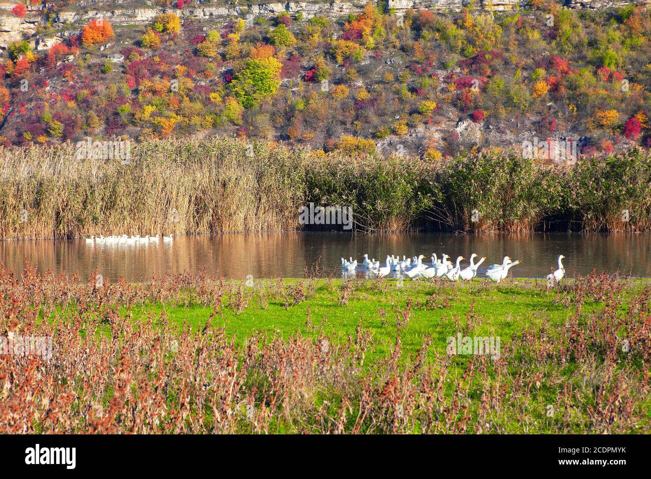 Landscape autumn fall pond farmland hi-res stock photography and images ...