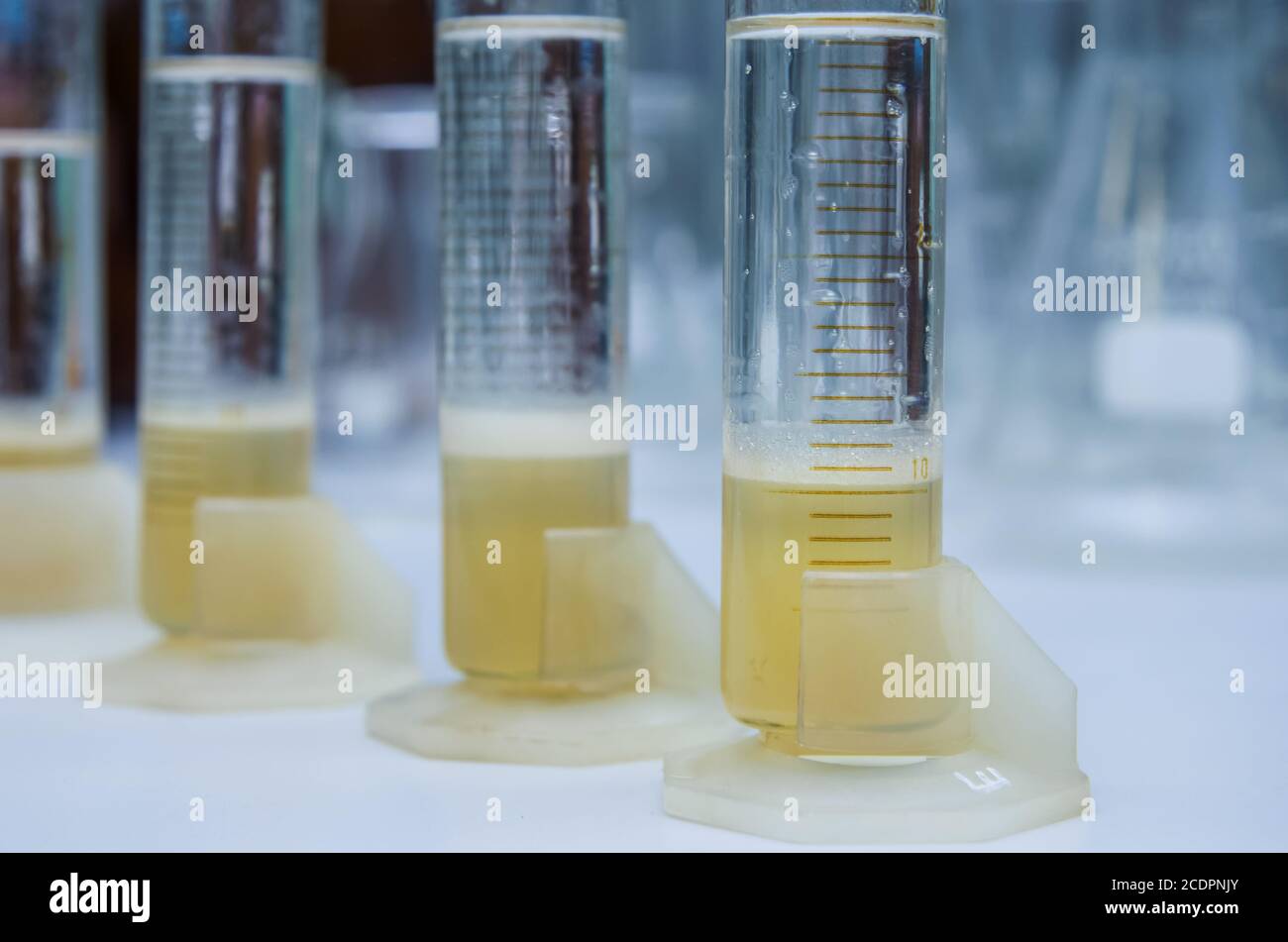 Laboratory glassware with liquids. Flasks with two-phase liquid Stock ...