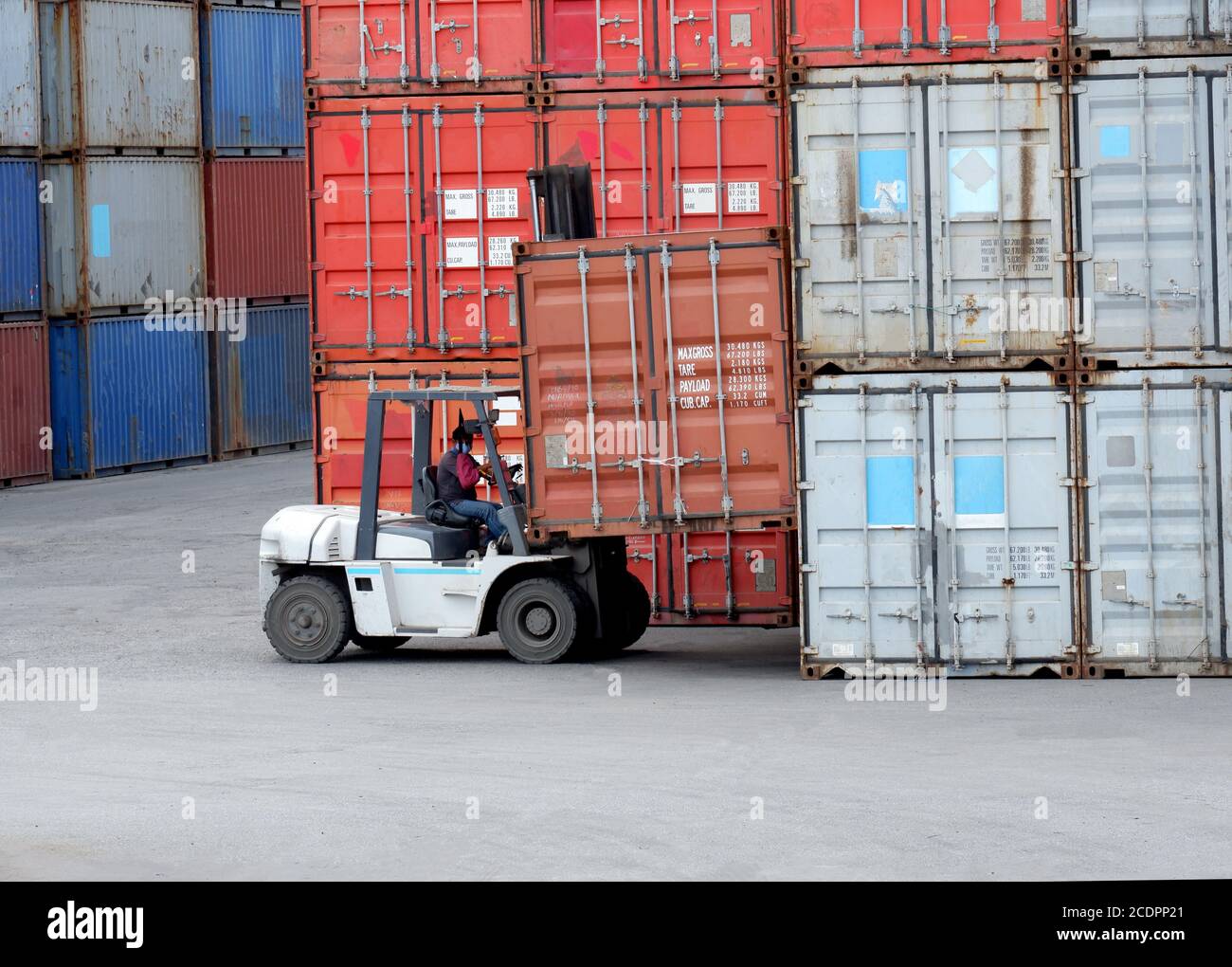 Forklift handling the cargo shipping container box Stock Photo - Alamy