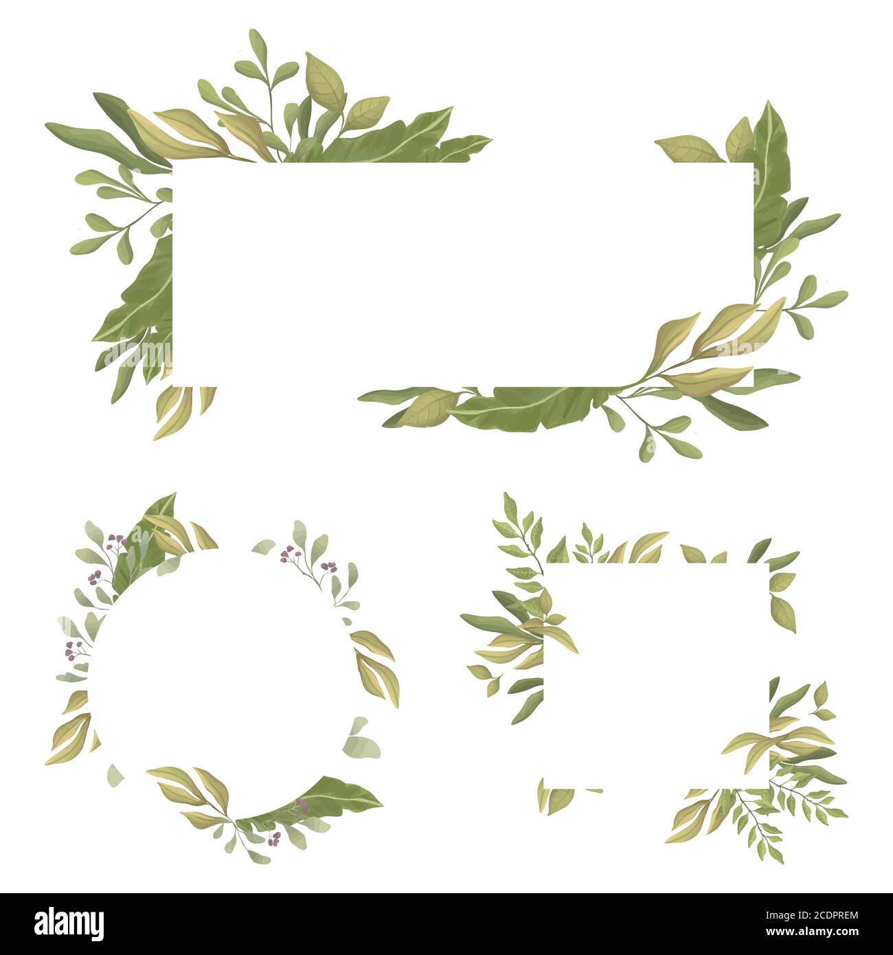 Green foliage plant borders Stock Vector Images - Alamy