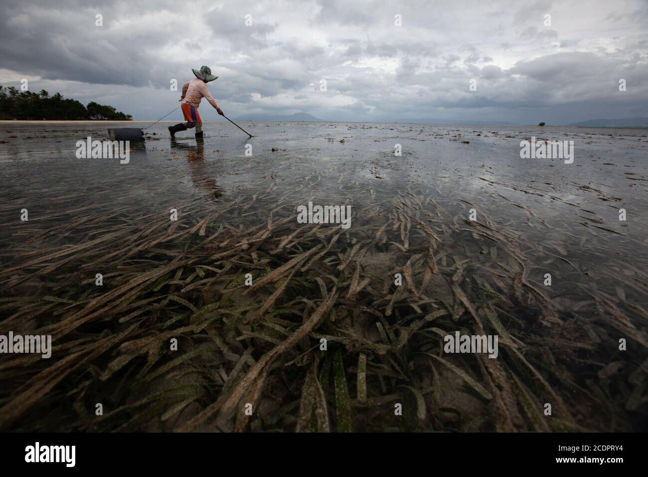 Two coastal women living in the village of the Bajo tribe are looking ...
