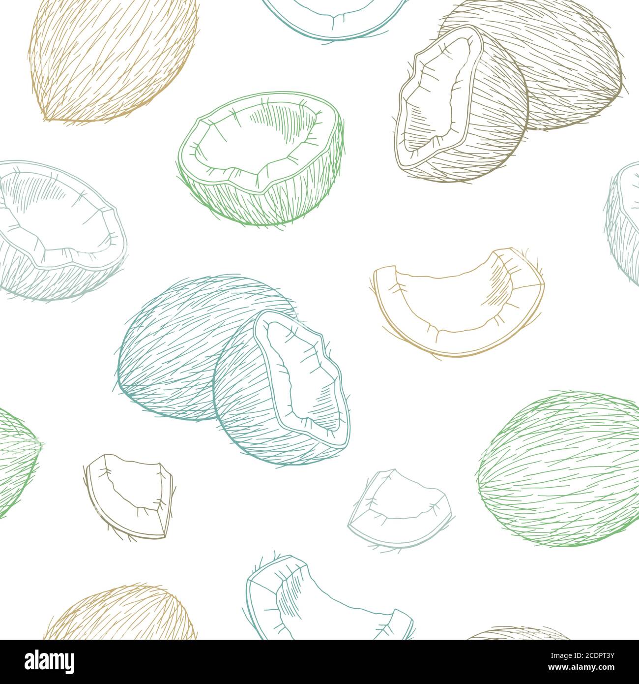 Coconut graphic color seamless pattern sketch illustration vector Stock ...