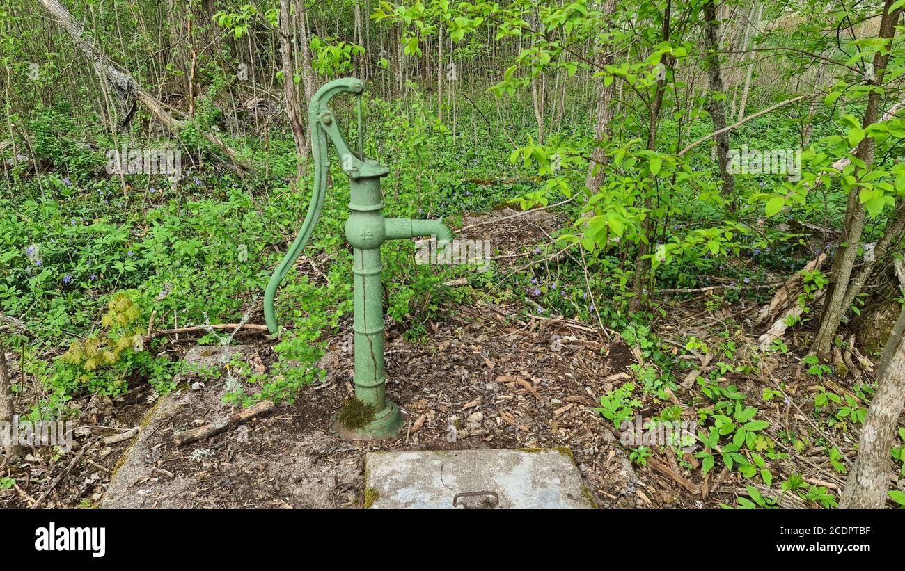 Close up view of green old retro water pump outdoors on green forest ...