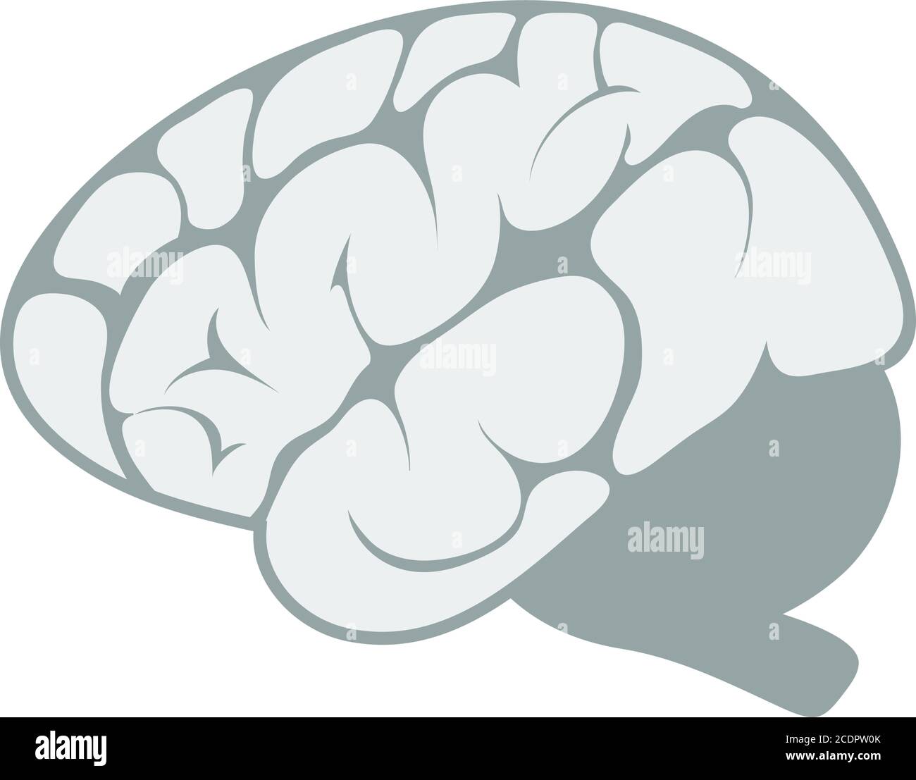 Brain Icon. Flat Color Design. Vector Illustration Stock Vector Image ...