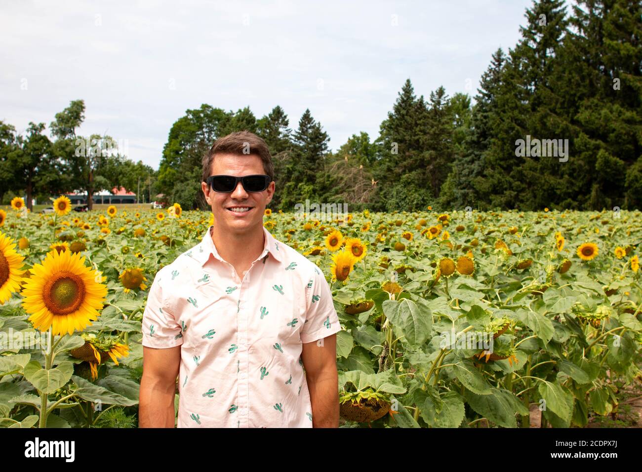 Young man standing sunflower in hi-res stock photography and images - Alamy