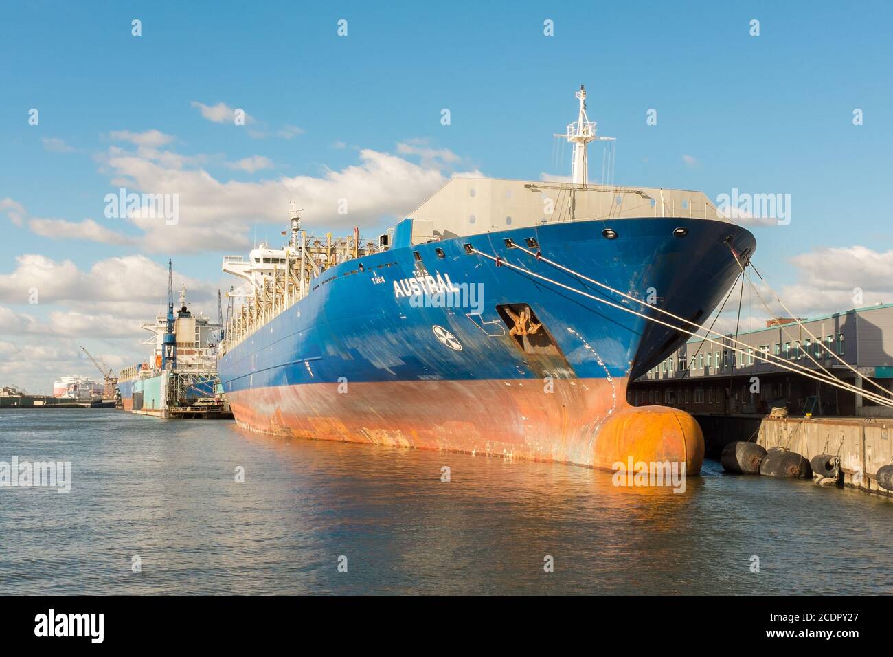 Hamsued hi-res stock photography and images - Alamy