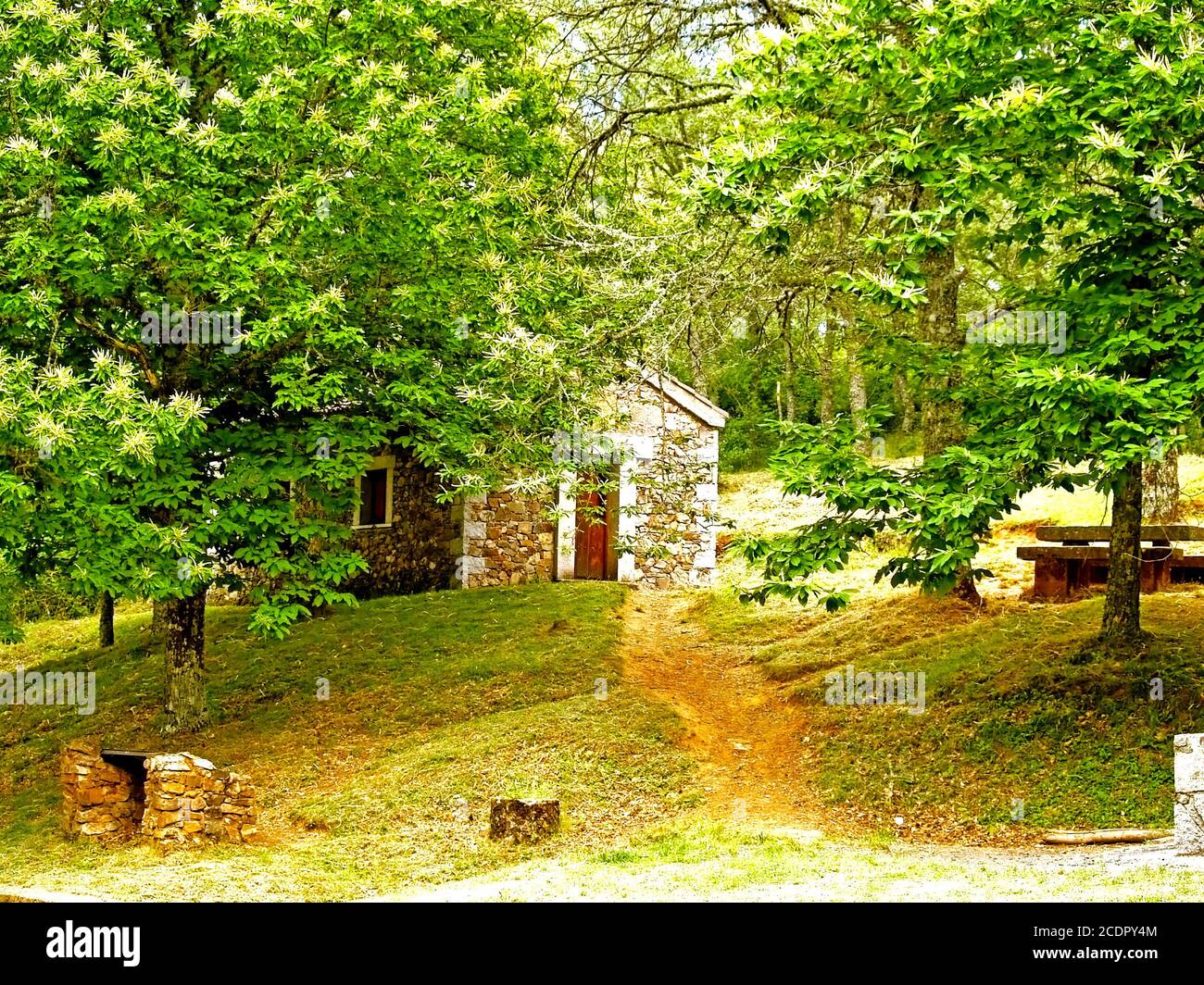 Stone house in the forest Stock Photo - Alamy
