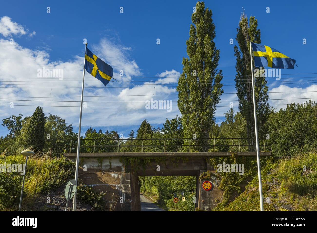 Swedish flags waving in the wind green forest trees and blue sky with ...