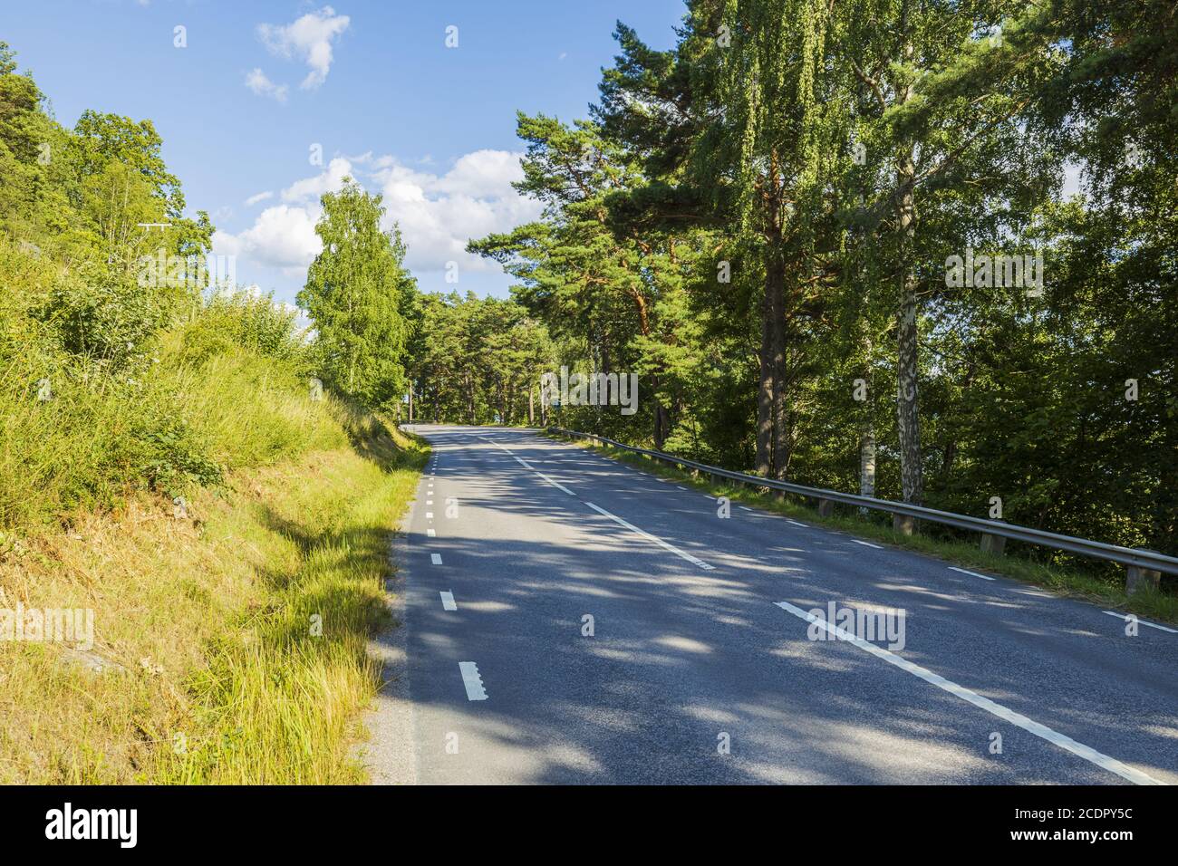 Beautiful summer nature landscape view. Asphalt road surrounded with ...