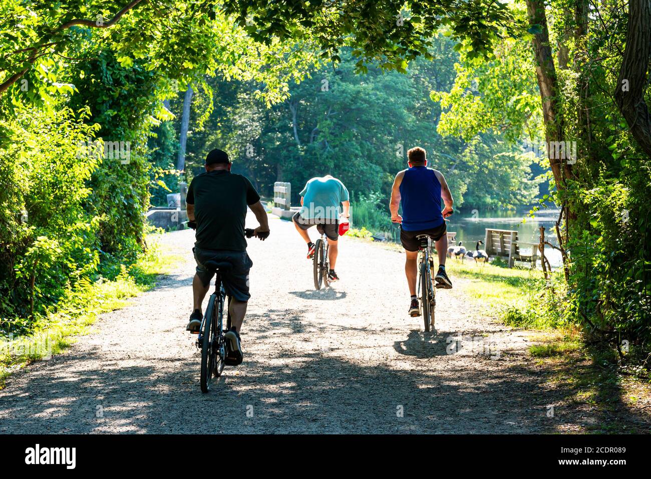 Three men on a casual bike ride on a dirt path in the woods leaving the shade into the hot ...