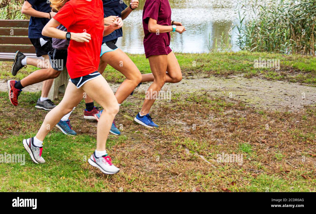 Side view of a group of high school cross country runners training in a ...