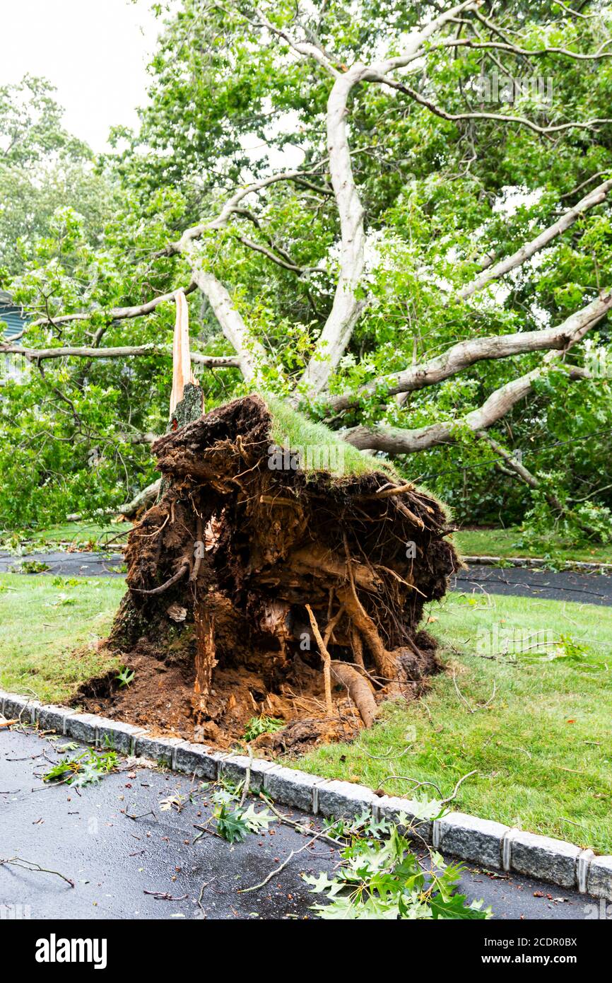 Vertical aftermath hi-res stock photography and images - Alamy