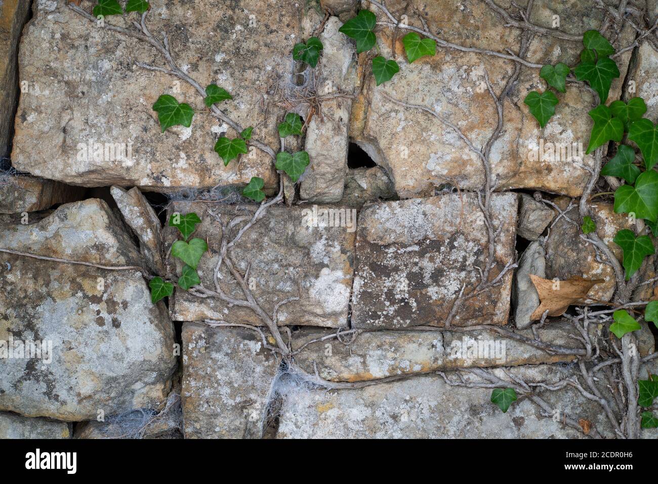 Tige stone hi-res stock photography and images - Alamy