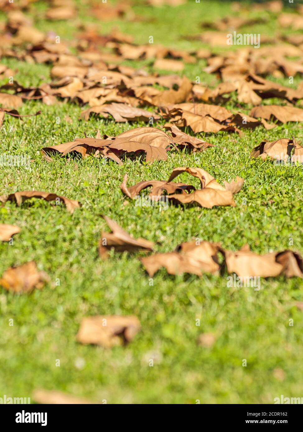 Falling soil hi-res stock photography and images - Alamy