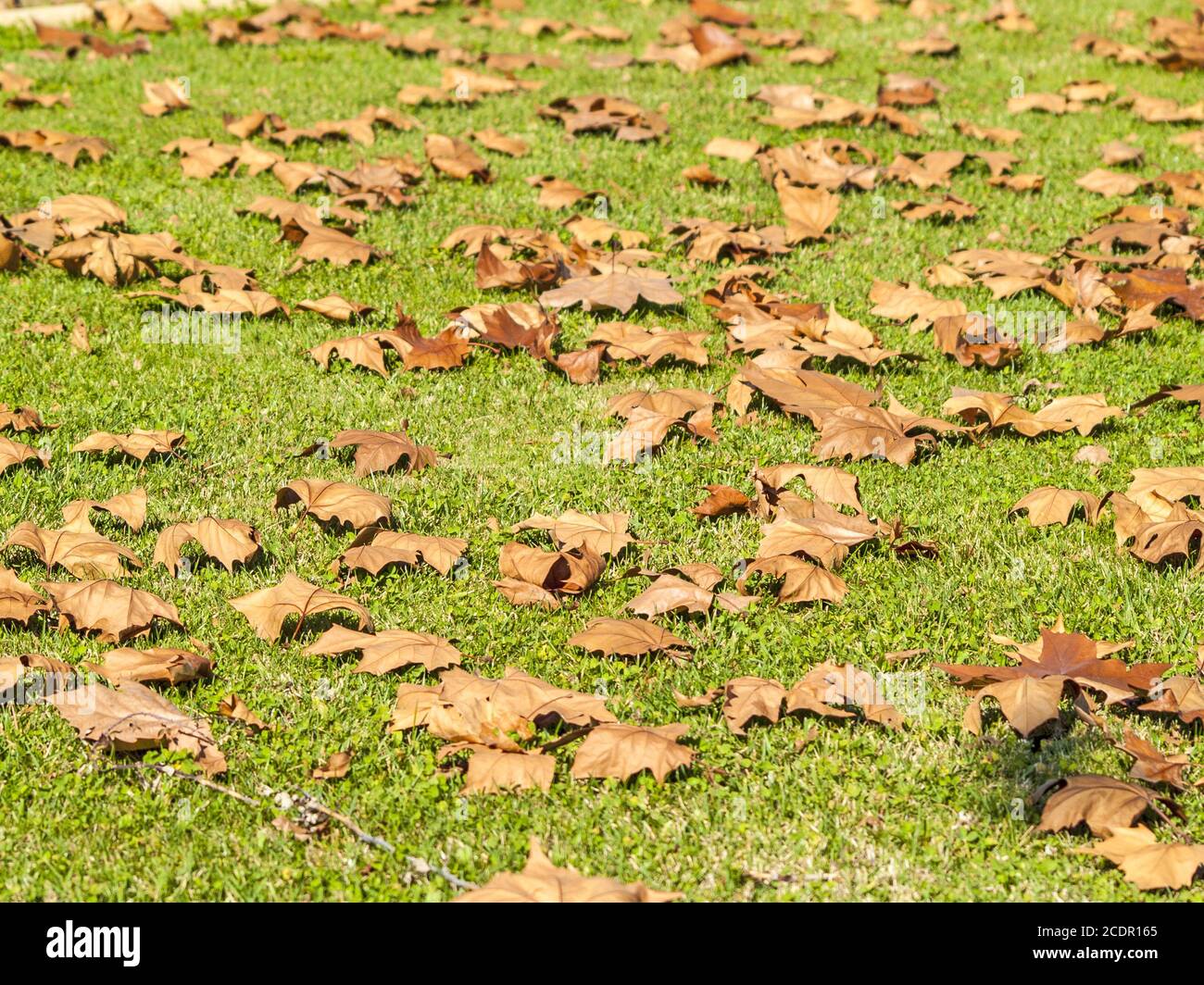 Falling soil hi-res stock photography and images - Alamy