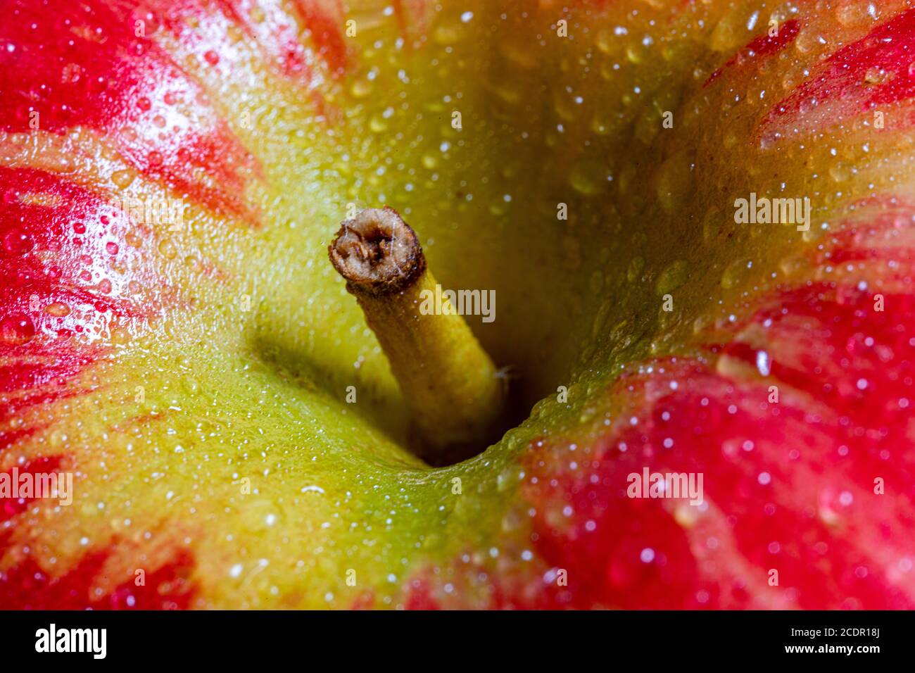Close up macro photography of an apple and its stem Stock Photo - Alamy