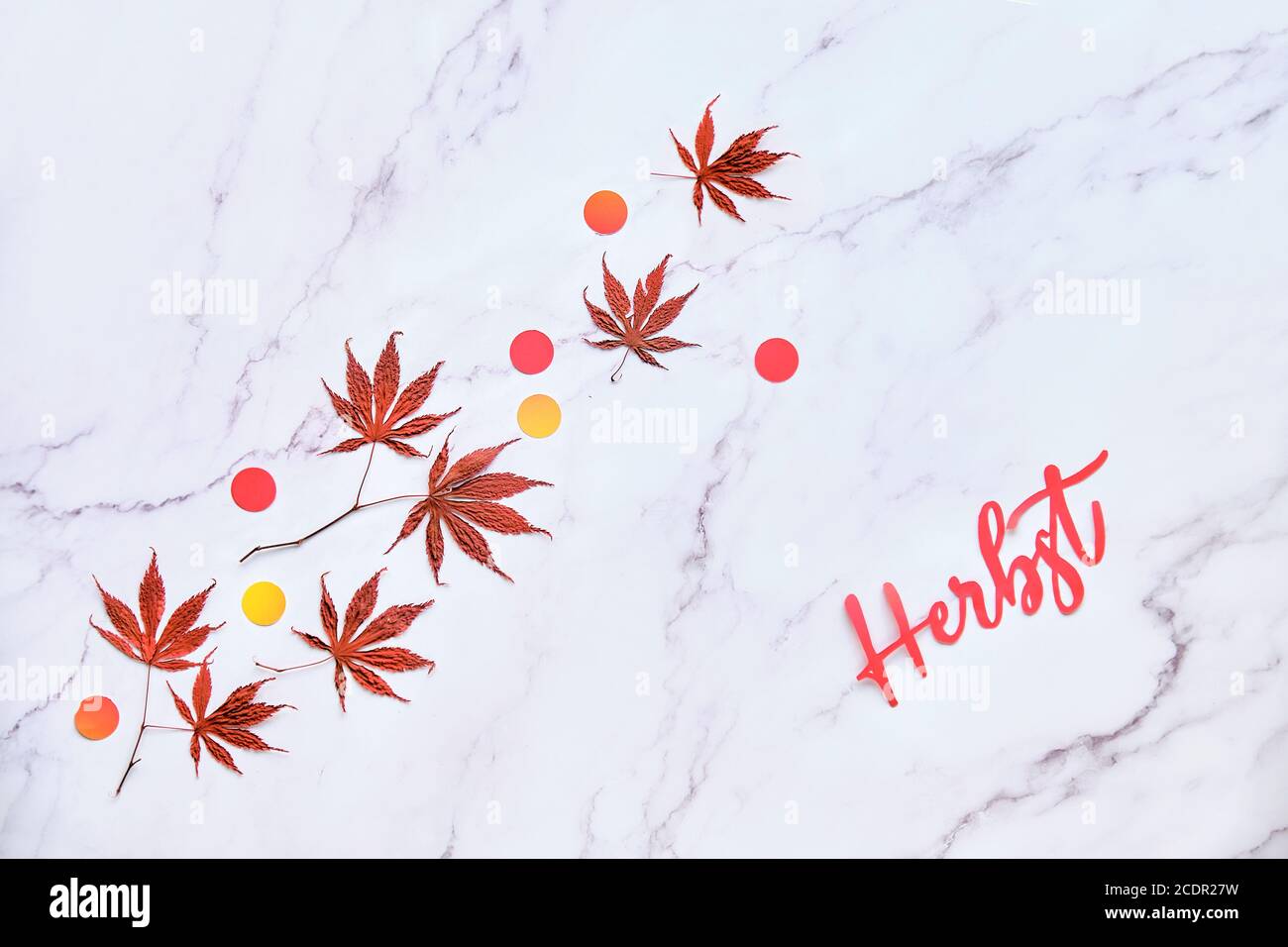 Abstract Autumn seasonal background with natural maple leaves and red ...