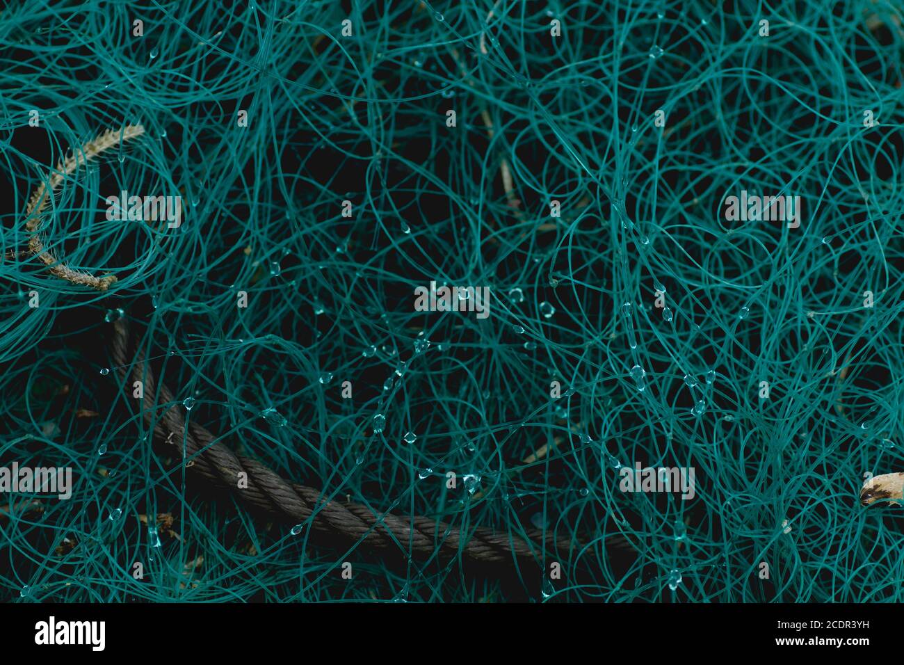 Net of fisher hi-res stock photography and images - Alamy