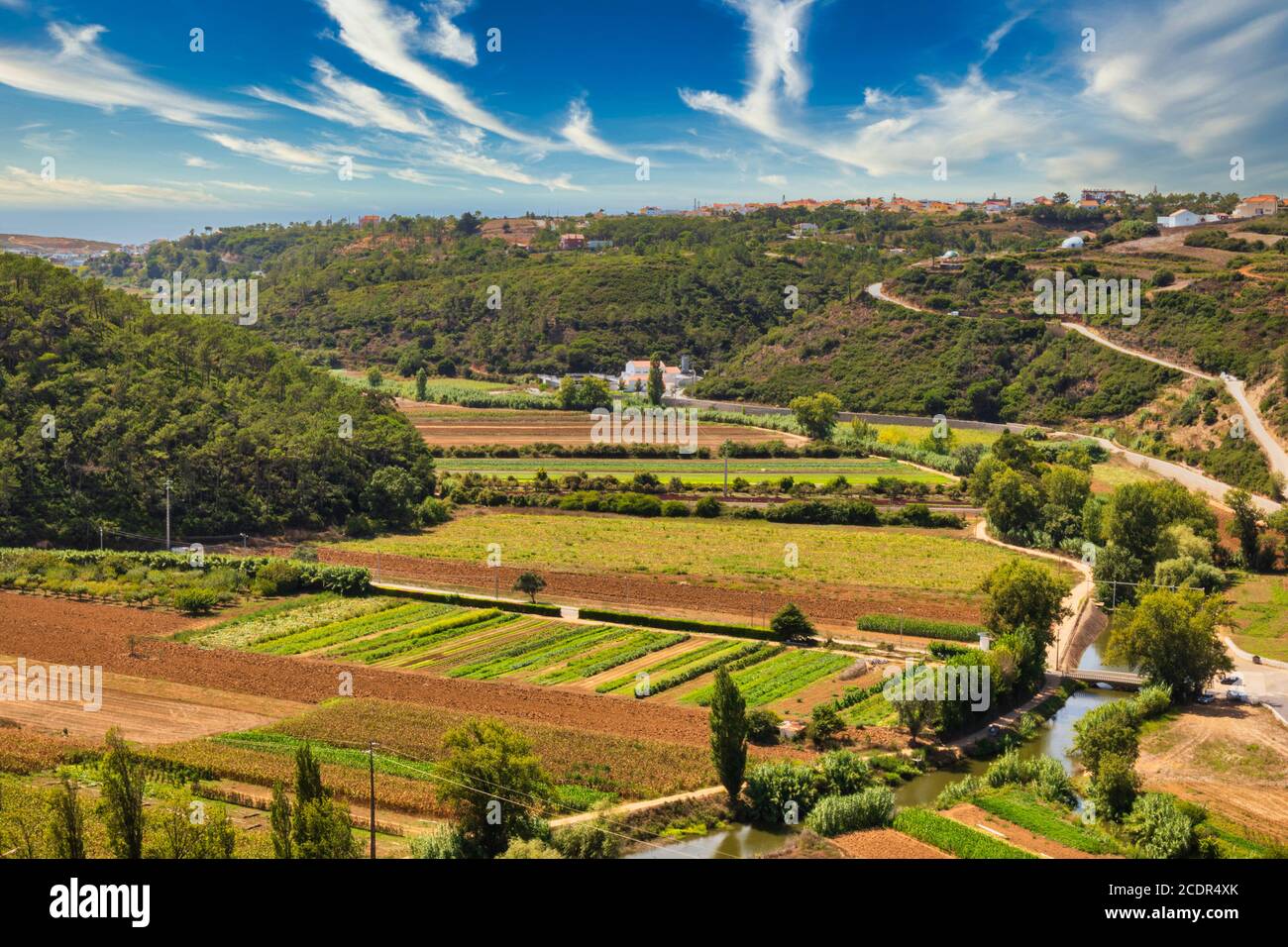 agriculture field with grass and trees in Portugal interior Stock Photo ...
