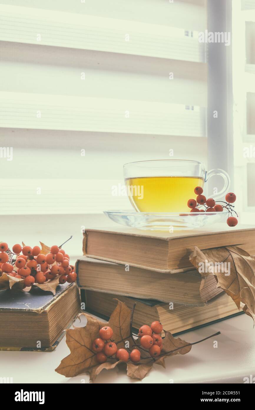 Cup of tea, old books, autumn leaves and berries Stock Photo - Alamy
