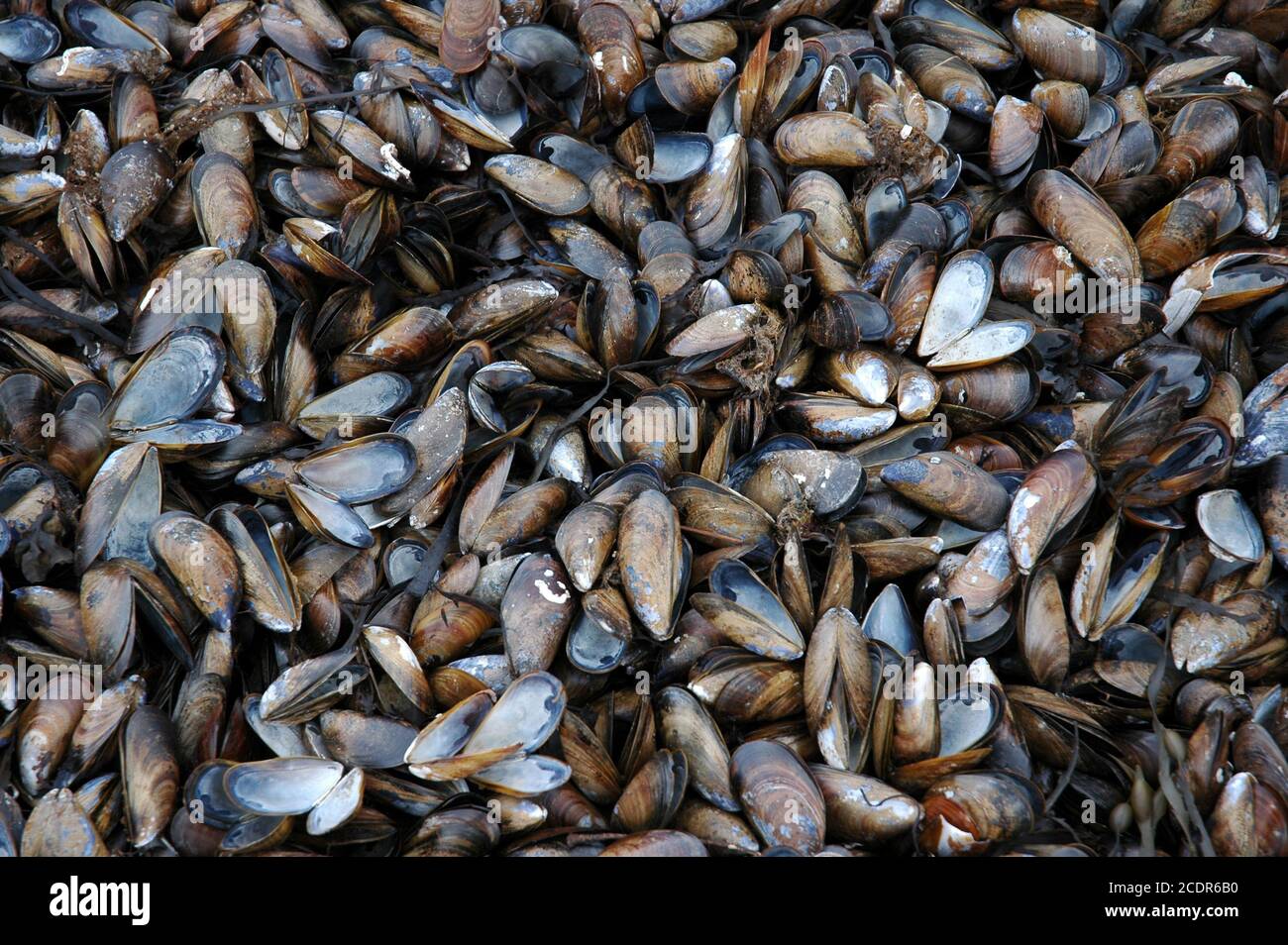 Sculpturing concentric lines hi-res stock photography and images - Alamy